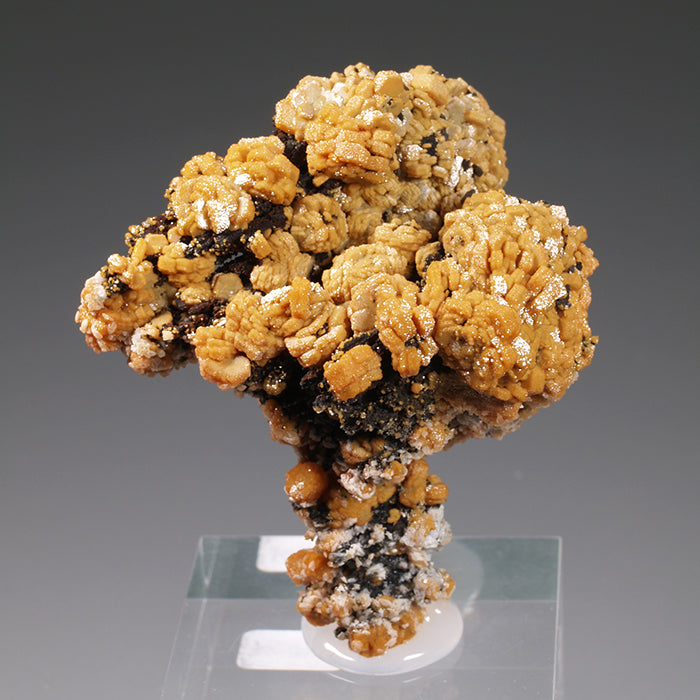 VANADINITE – Luis Burillo Minerales