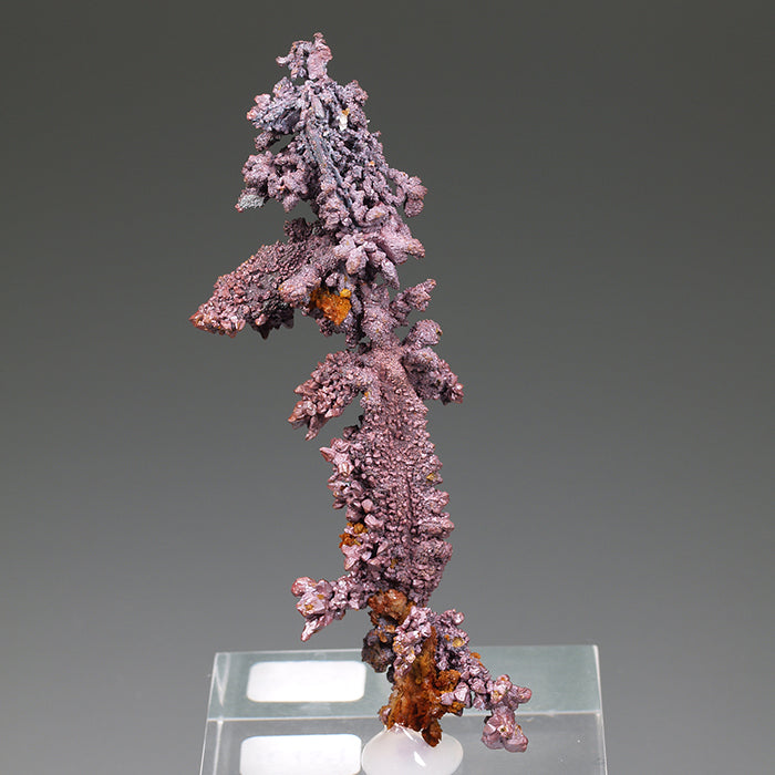COPPER SPINEL TWIN – Luis Burillo Minerales